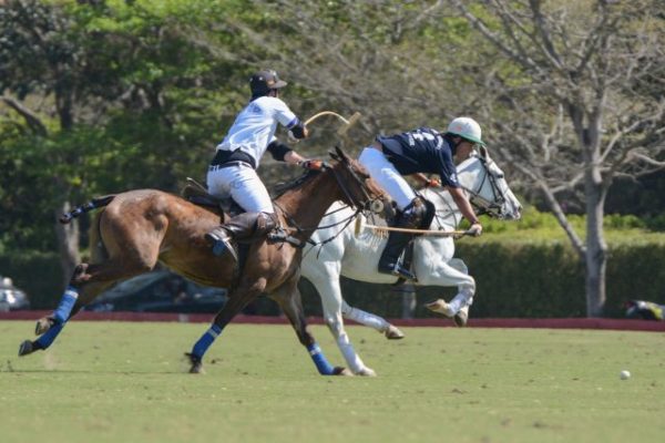 ALL PRO POLO LEAGUE DEBUTS IN BRAZIL – All Pro Polo League